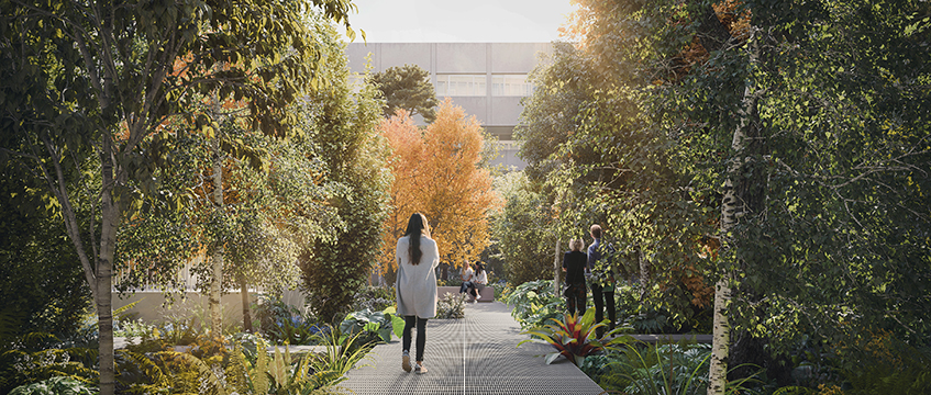 Lazari gets go-ahead for Maple House remodel | Estates Gazette